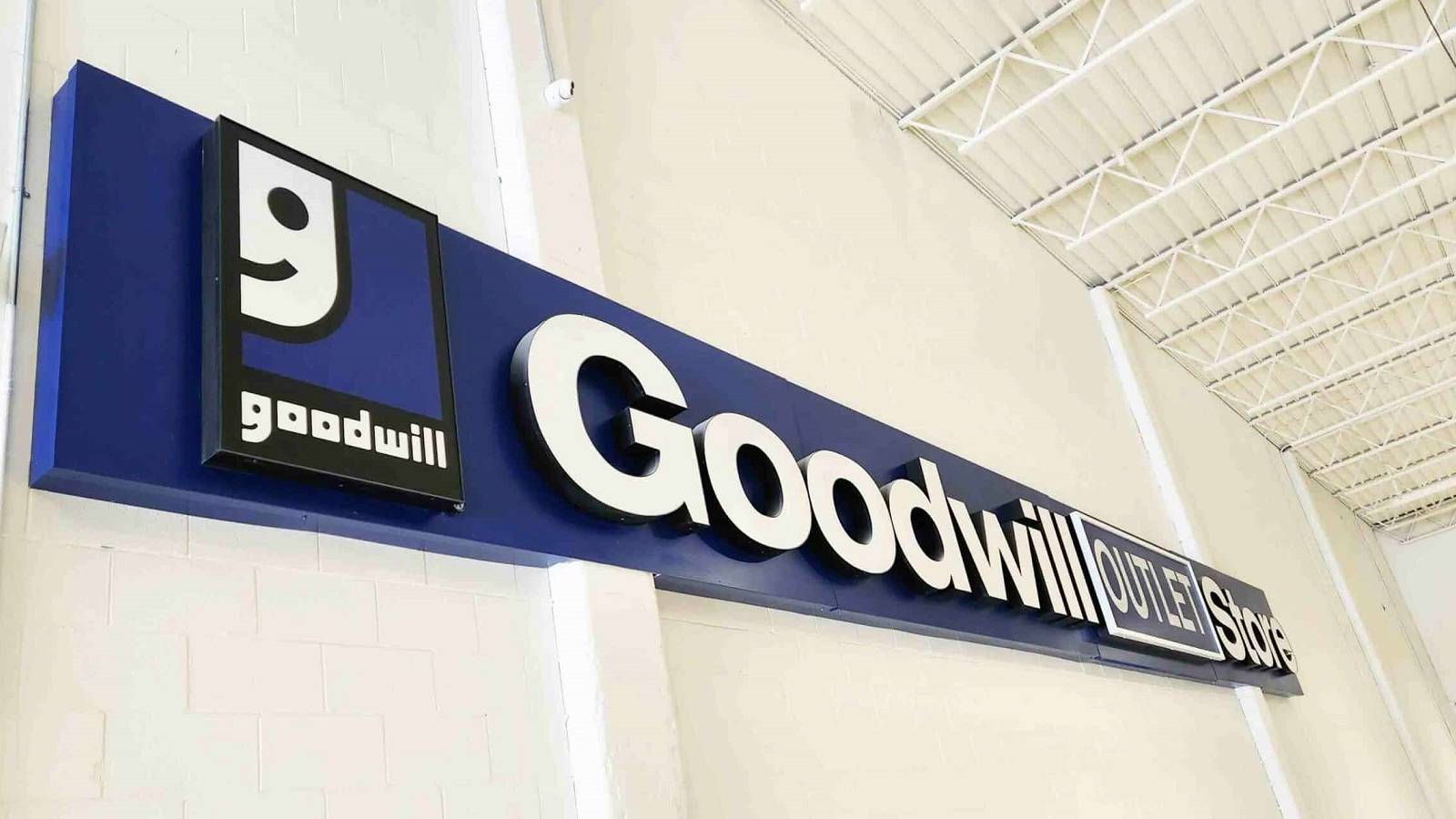 MMO Fan Makes Nostalgic Discovery at Goodwill