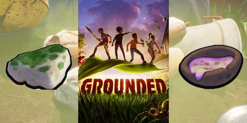 Grounded Beginner Tips