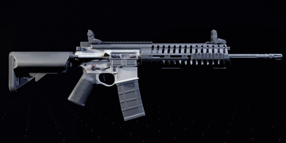 The Division 2: Best Assault Rifles, Ranked