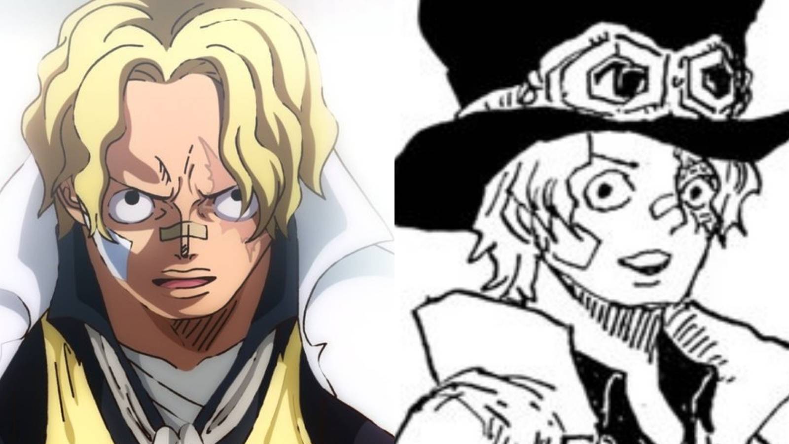 One Piece: How Sabo Survived, Explained