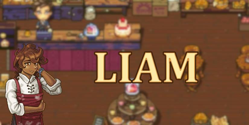 Sun Haven: All Romance-able Bachelors and Bachelorettes