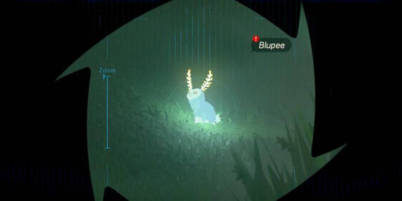 Zelda: Breath of the Wild - Blupee Guide