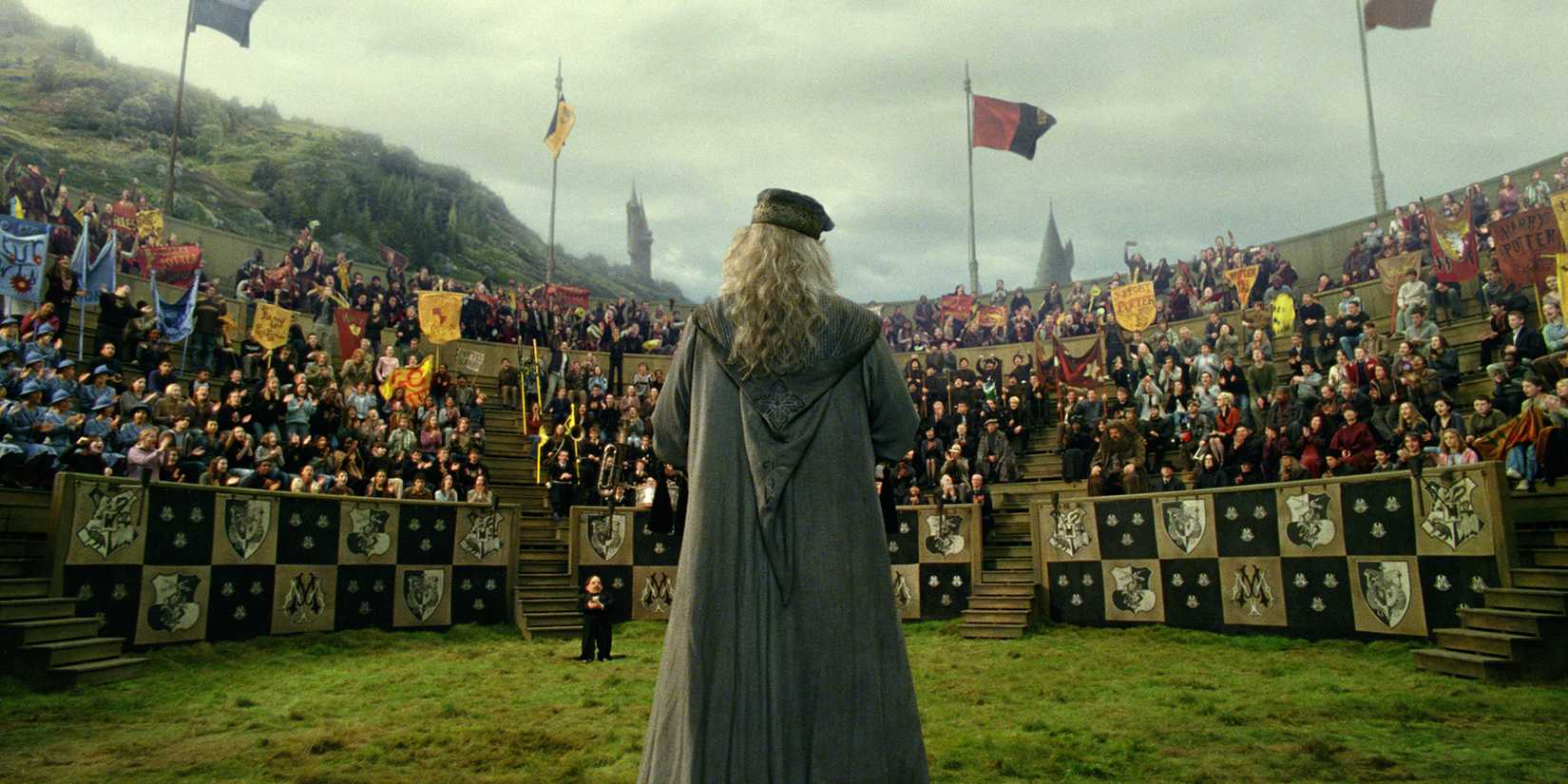 Who Won The Quidditch Cup From 1991-1998 In Harry Potter