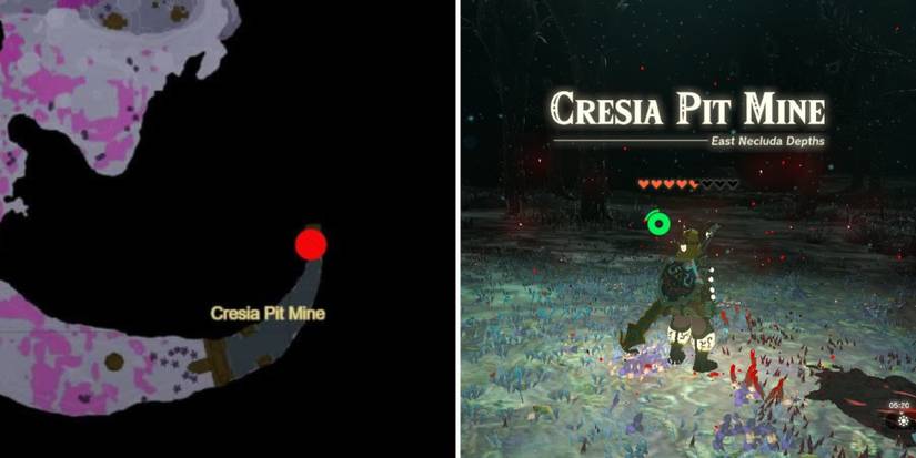 Zelda: ToTK - How to Get the Armor of the Wind (Full Set)