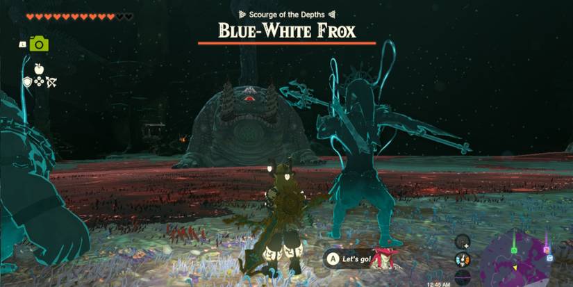 Zelda: Tears of the Kingdom - How To Beat Frox