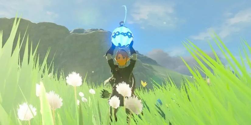 Zelda: Breath Of The Wild And Tears Of The Kingdom - Each Rune, Ranked