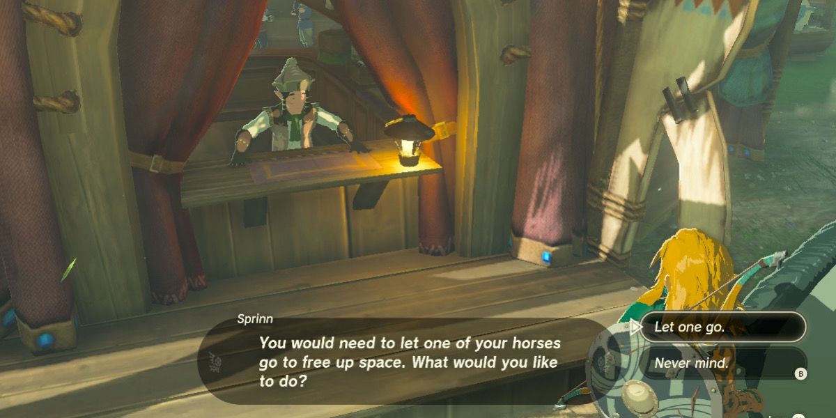 Zelda: Tears Of The Kingdom - How To Release Horses