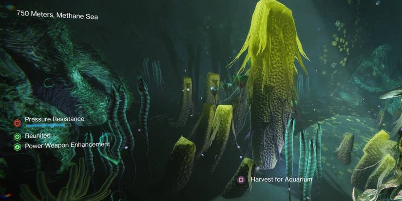 Destiny 2: All Deep Dive Plant And Flora Locations
