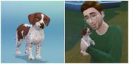 Best Games Where You Play As A Dog Best Games Where You Play As A Dog