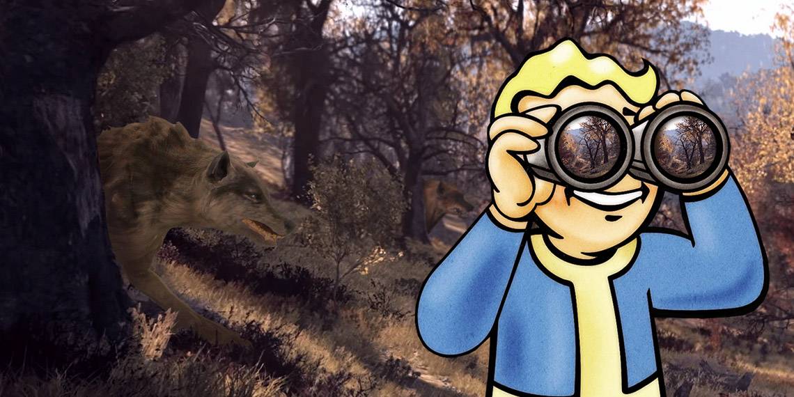 Fallout 76: Where to Find Wolves