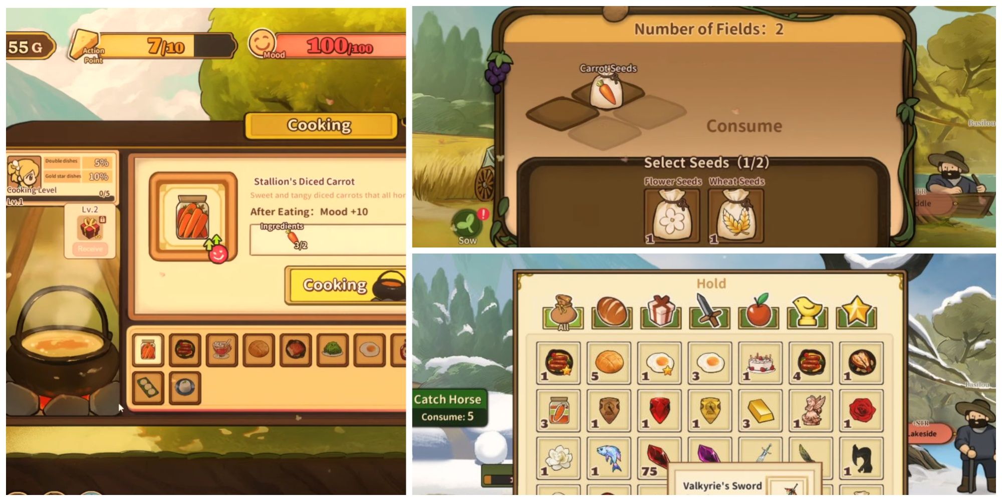 Best Activities In Volcano Princess