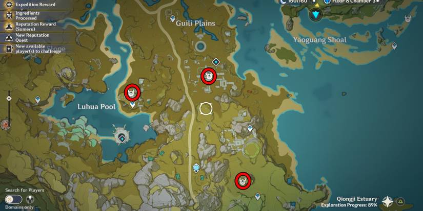 Genshin Impact: Ruin Guard Locations & Farming Route