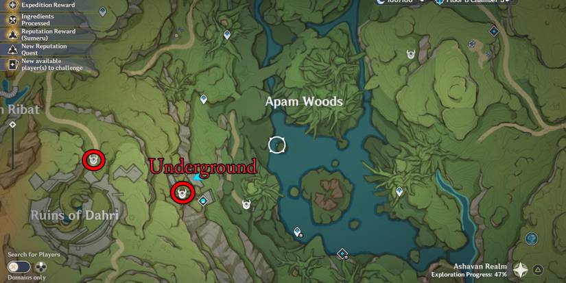 Genshin Impact: Ruin Guard Locations & Farming Route