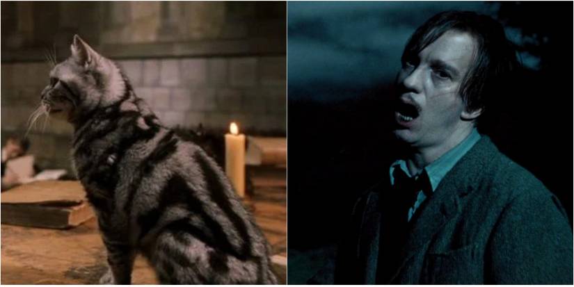 Harry Potter: What Is The Difference Between An Animagus And A Werewolf?