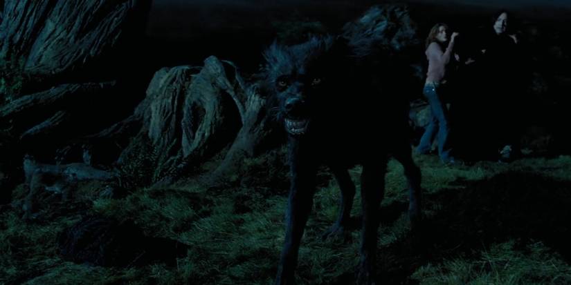 Harry Potter: Who is Padfoot?