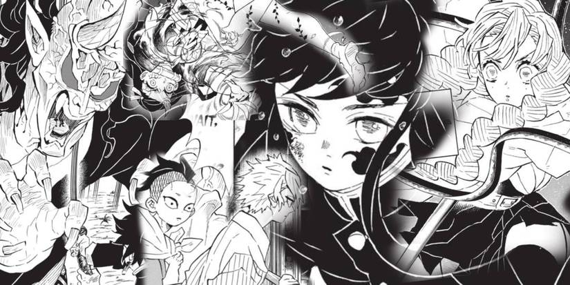 Best Demon Slayer Arcs In The Manga, Ranked
