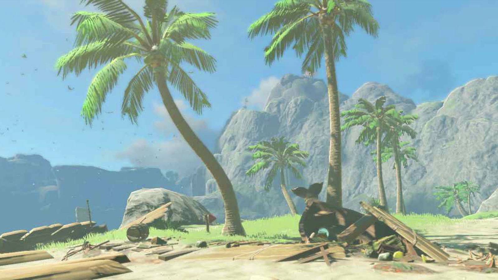 Zelda: Tears of the Kingdom - A Bottled Cry for Help Quest Guide