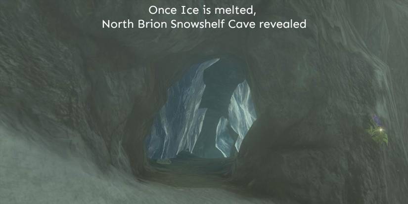 Zelda: Tears of the Kingdom - Treasure of the Secret Springs Walkthrough