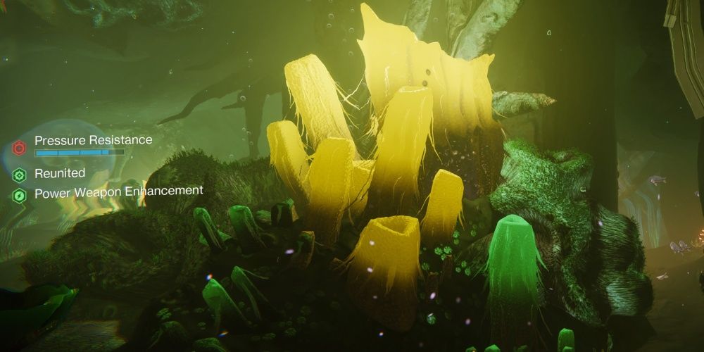 Destiny 2: All Deep Dive Plant And Flora Locations