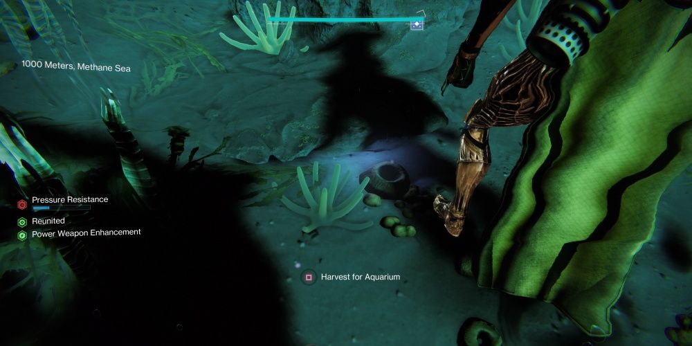 Destiny 2: All Deep Dive Plant And Flora Locations