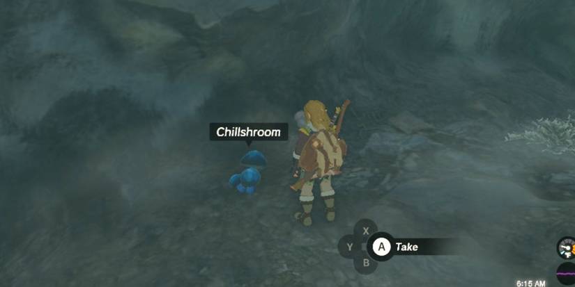 Zelda: Tears Of The Kingdom - Crossing The Cold Pool Walkthrough