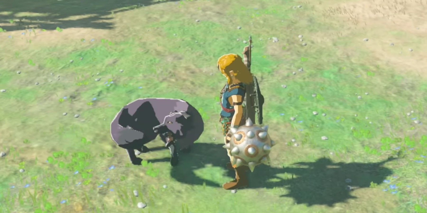 Zelda: Tears of the Kingdom Player Comes Up With Way to Pet the Dogs in the Game