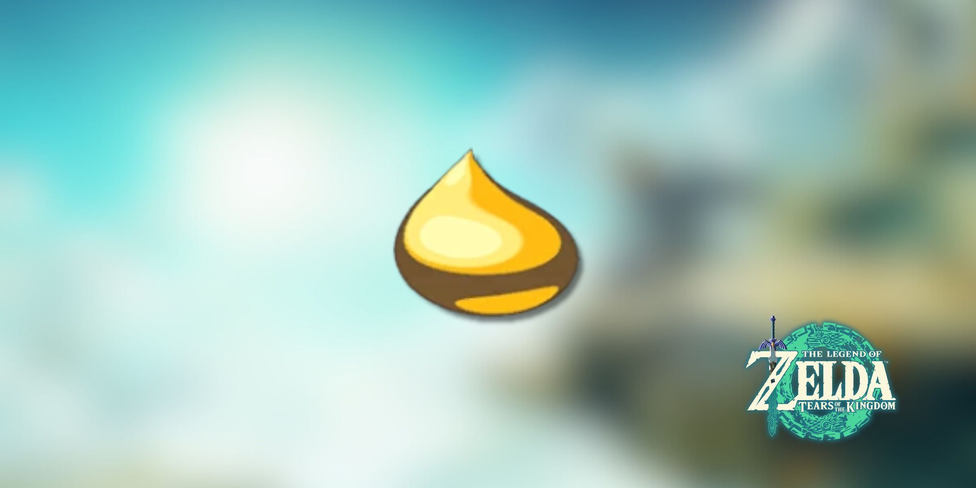 Zelda: Tears of the Kingdom - What to Do With Korok Seeds