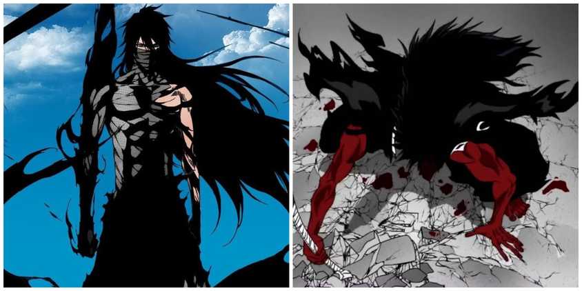 Bleach: Hollow Classes Explained