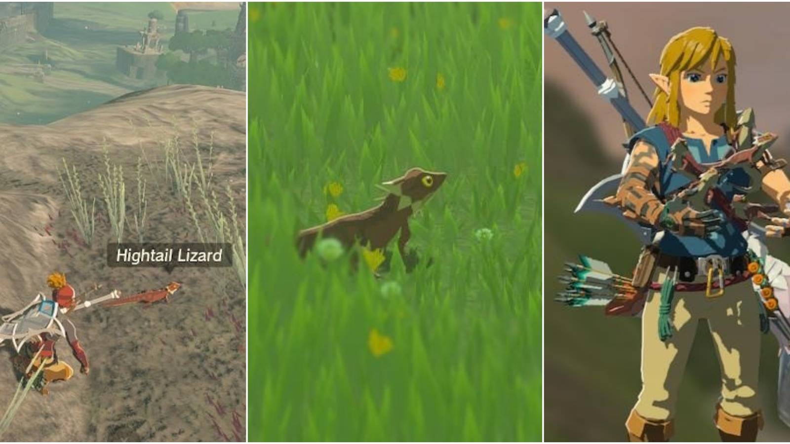 Zelda: Tears of the Kingdom - Best Locations to Farm Hightail Lizards