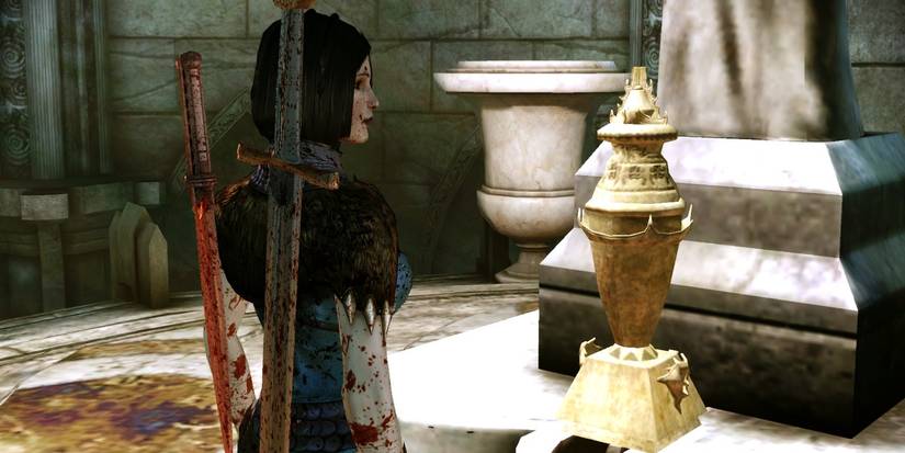 Dragon Age: Origins Best Things About Playing As A Human Noble