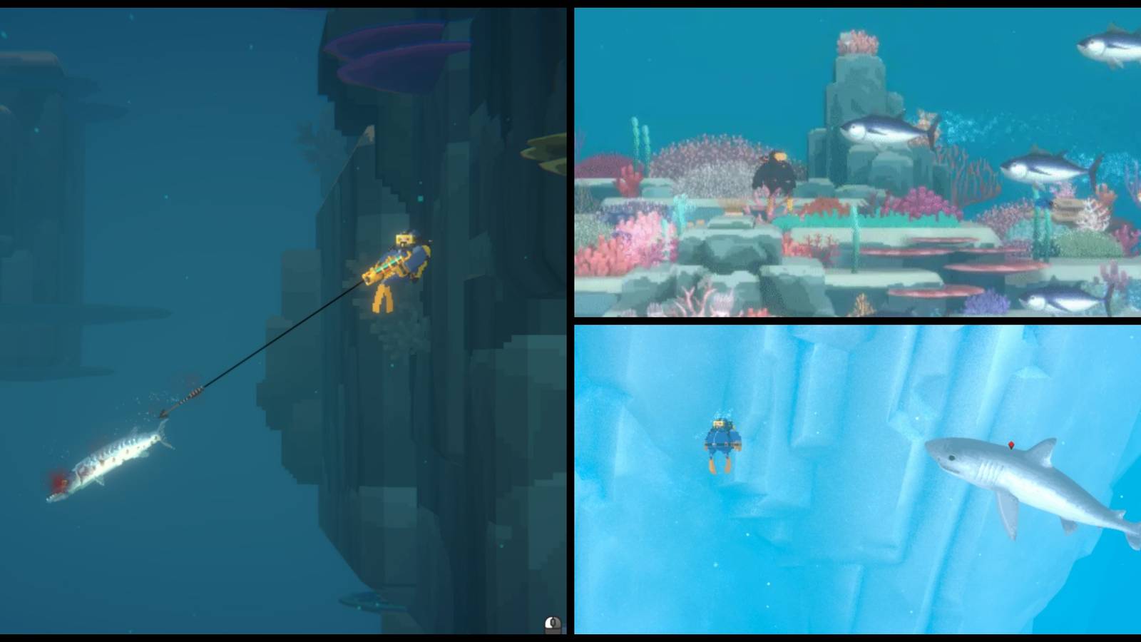 Dave the Diver: All Day Catchable Fish Species