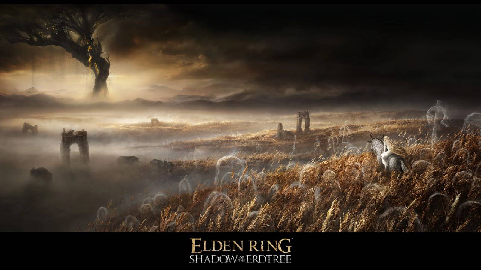 When to Expect Elden Ring: Shadow of the Erdtree DLC News