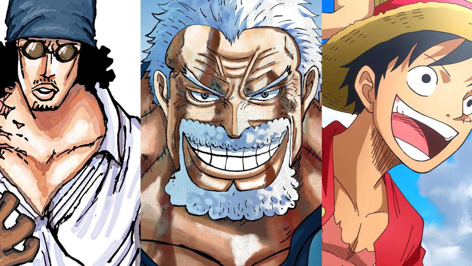 One Piece Characters Trained By Monkey D. Garp