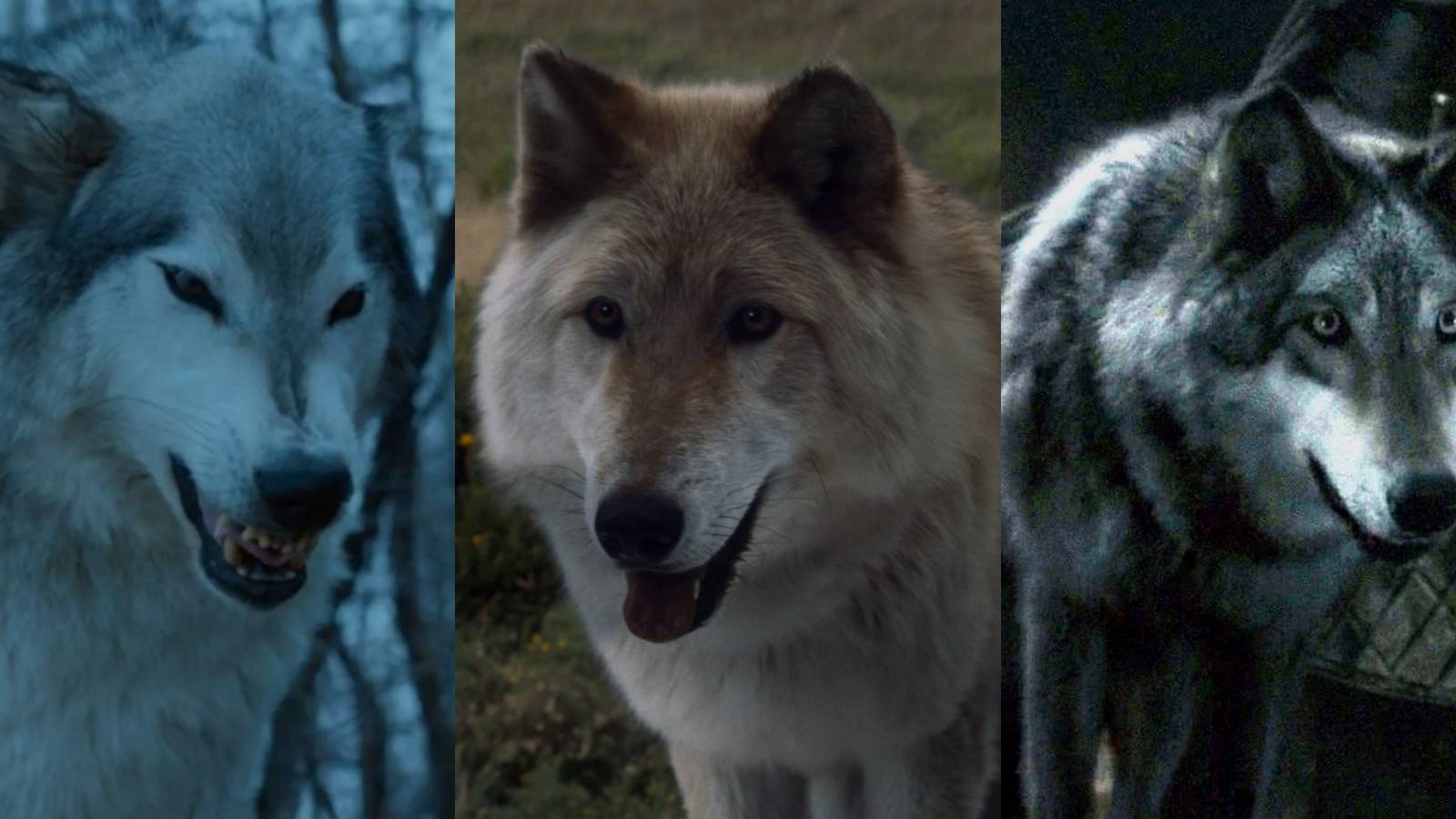 Game of Thrones: What Happened to the Direwolves?