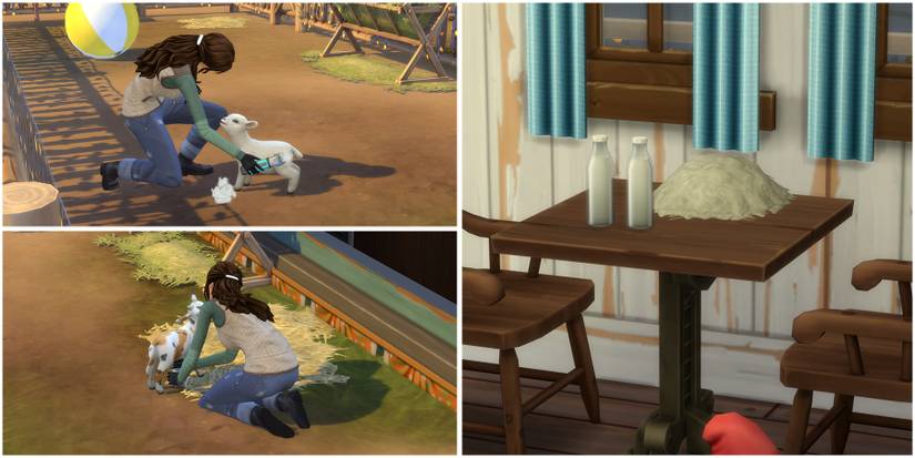 The Sims 4: Horse Ranch - How To Get Mini Goats And Sheep (& Take Care ...