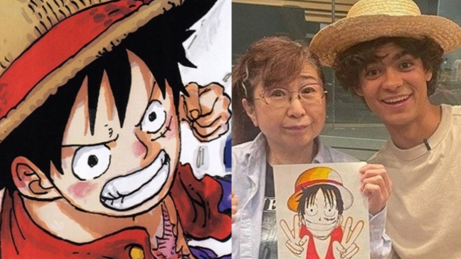 Netflix's One Piece Live Action: Every Japanese Voice Actor Confirmed ...