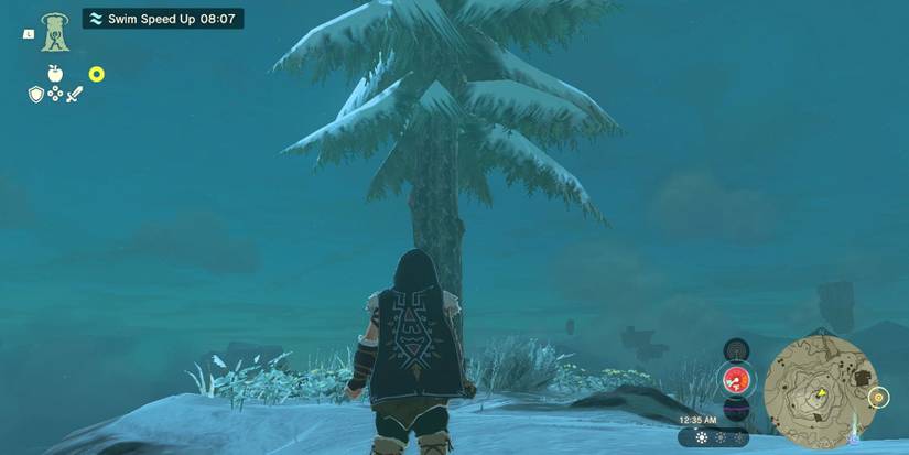 Zelda: Tears of the Kingdom - A Picture for Snowfield Stable Quest Guide