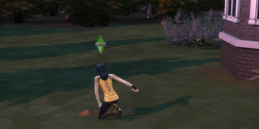 How to Get Plasma Fruit Sims 4