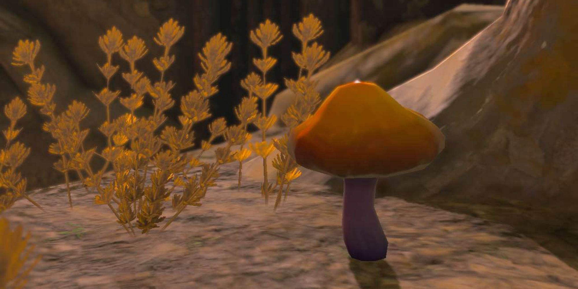 Zelda: Tears of the Kingdom - All Mushroom Types & Where to Find Them