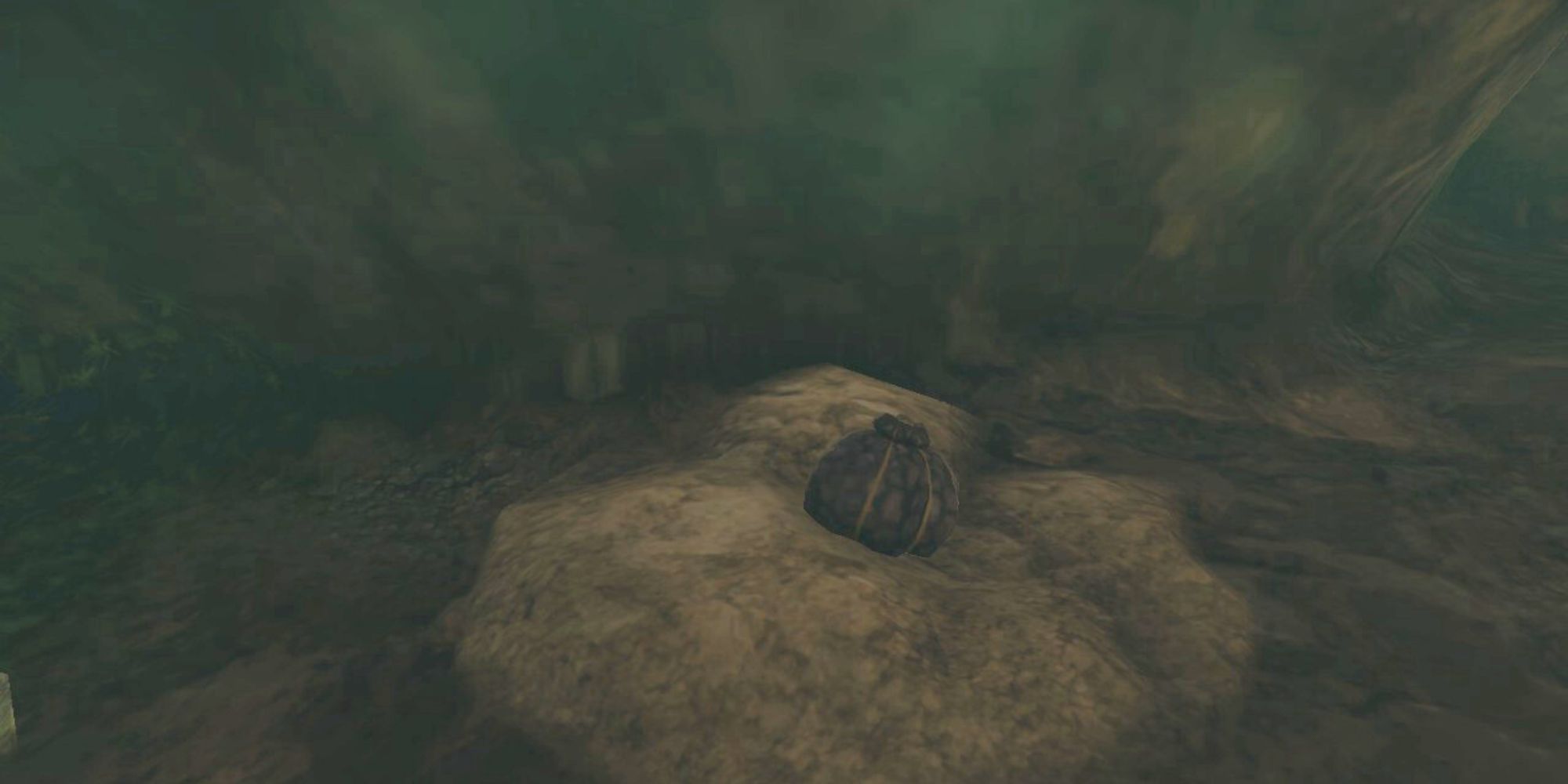 Zelda: Tears of the Kingdom - All Mushroom Types & Where to Find Them