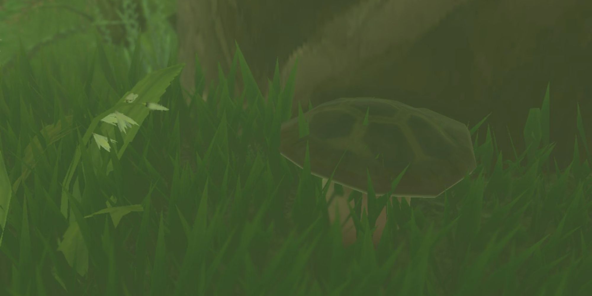 Zelda: Tears of the Kingdom - All Mushroom Types & Where to Find Them