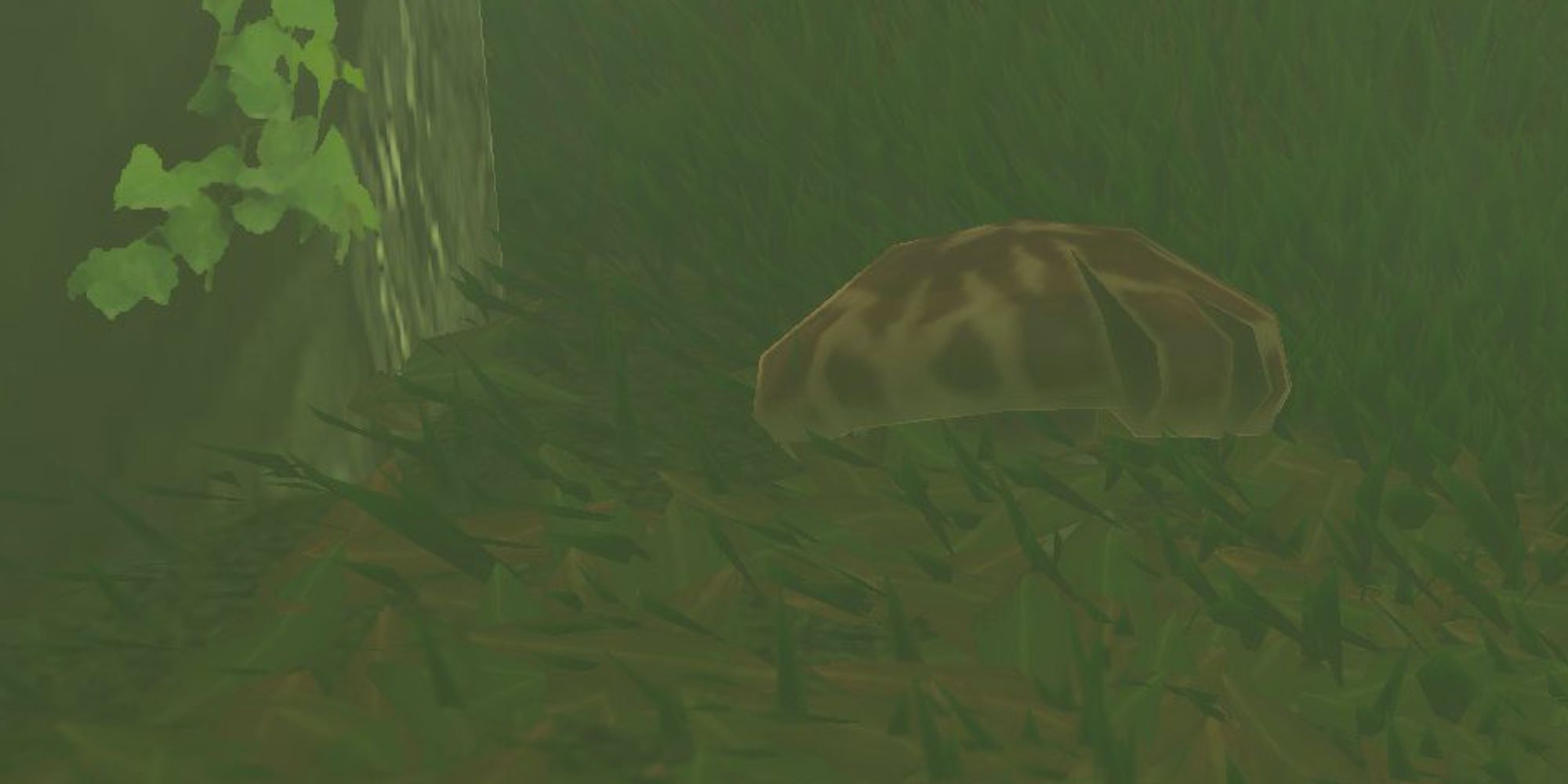 Zelda: Tears of the Kingdom - All Mushroom Types & Where to Find Them