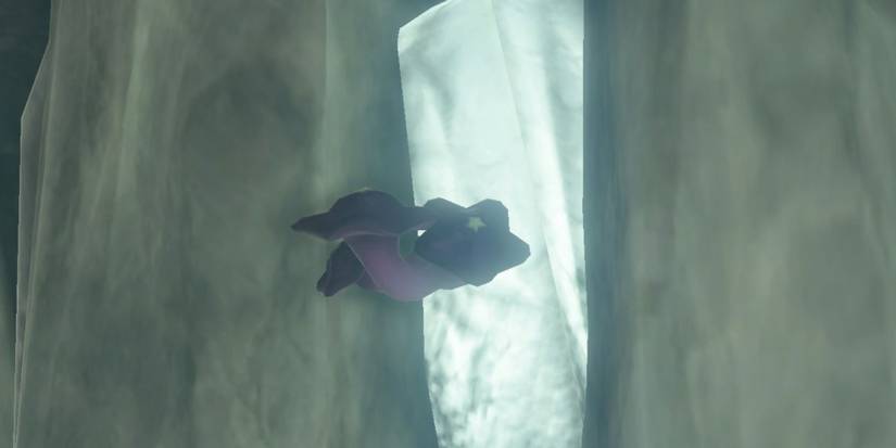 Zelda: Tears of the Kingdom - All Mushroom Types & Where to Find Them