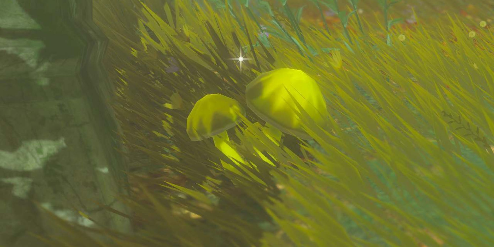 Zelda: Tears of the Kingdom - All Mushroom Types & Where to Find Them