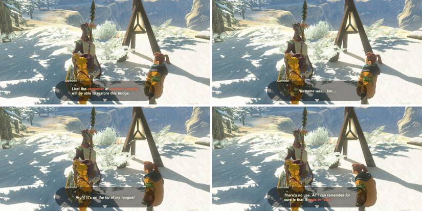 Zelda: Tears of the Kingdom - The Rito Rope Bridge Quest Walkthrough