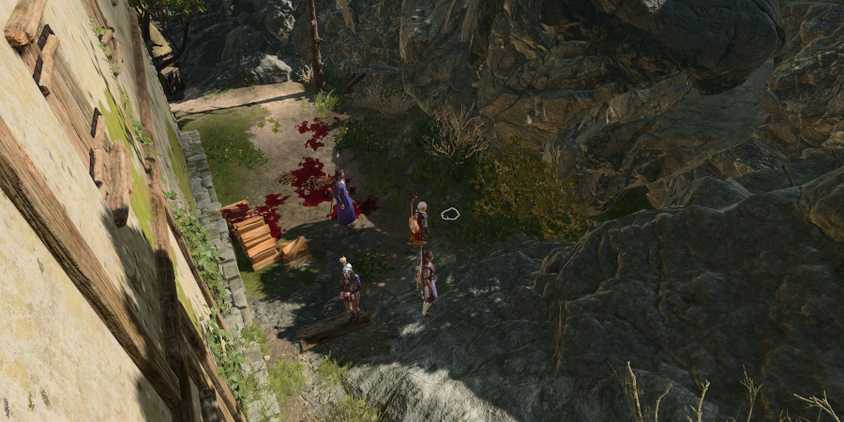 Baldur's Gate 3: House of Hope Guide