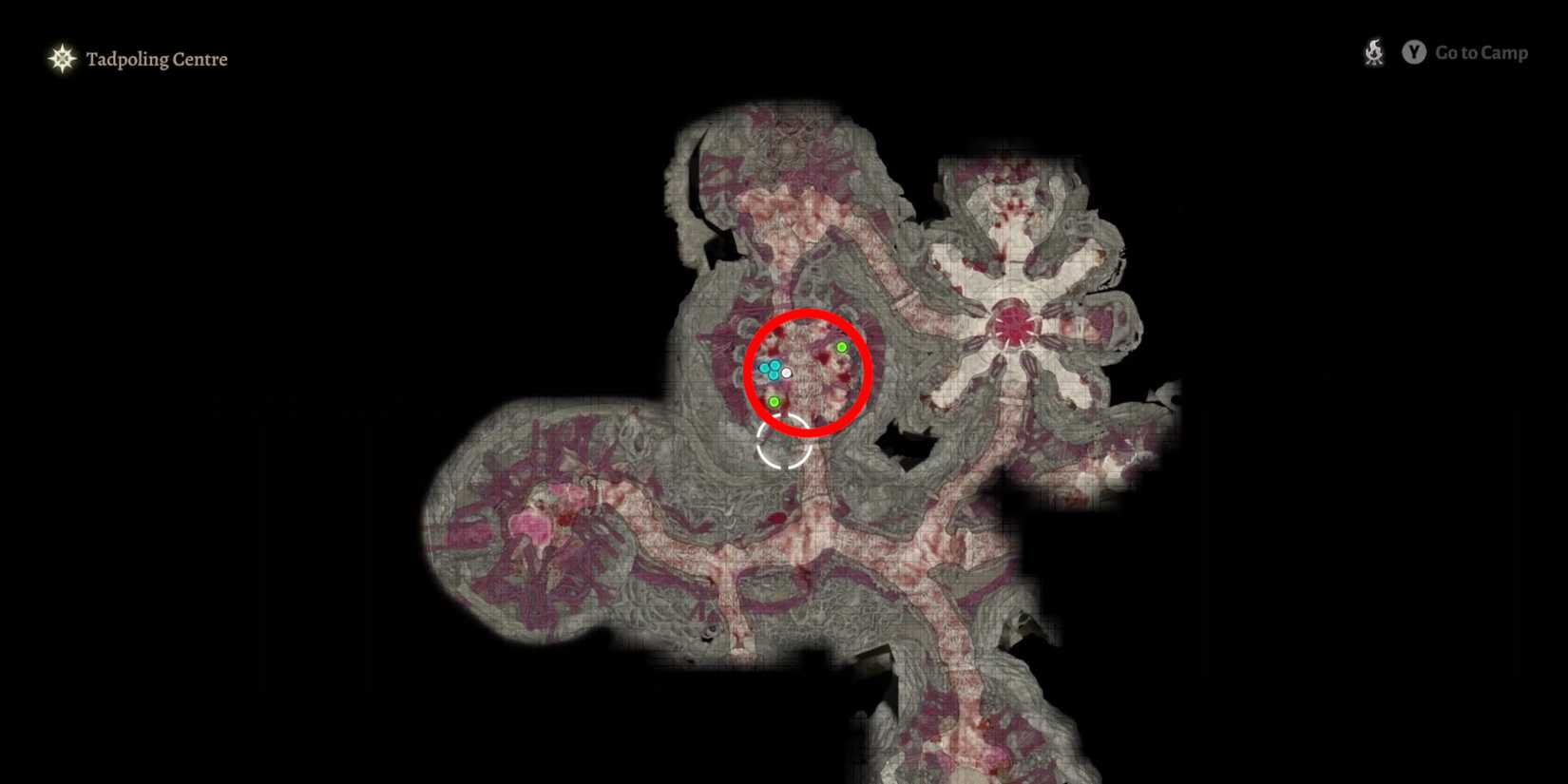 Baldur’s Gate 3: Should You Release or Purge the Pods