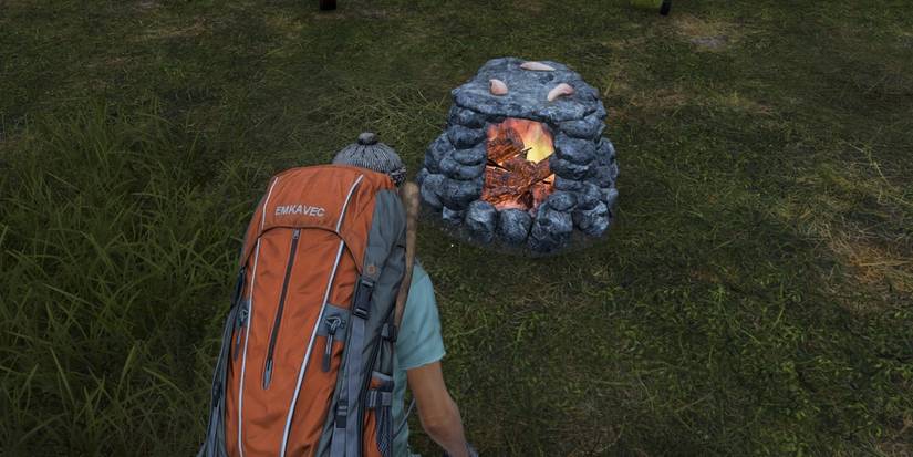 DayZ: Tips For Beginners