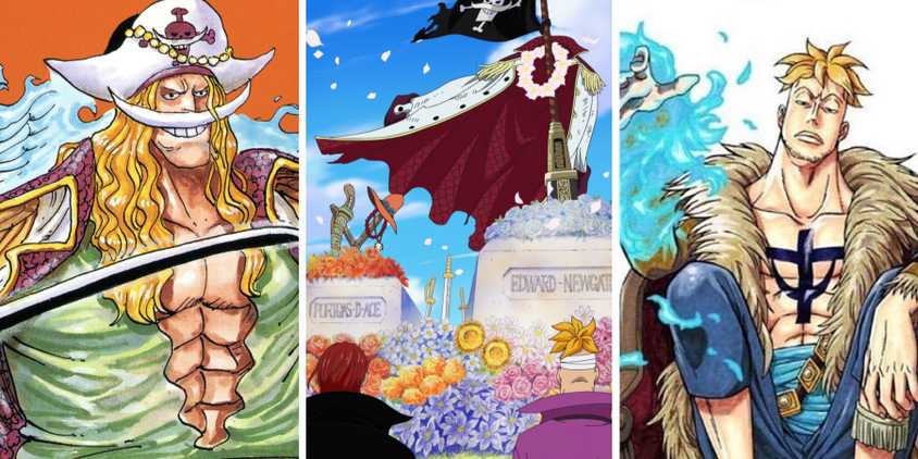 One Piece: Marco’s Tori Tori no Mi, Model: Phoenix, Explained