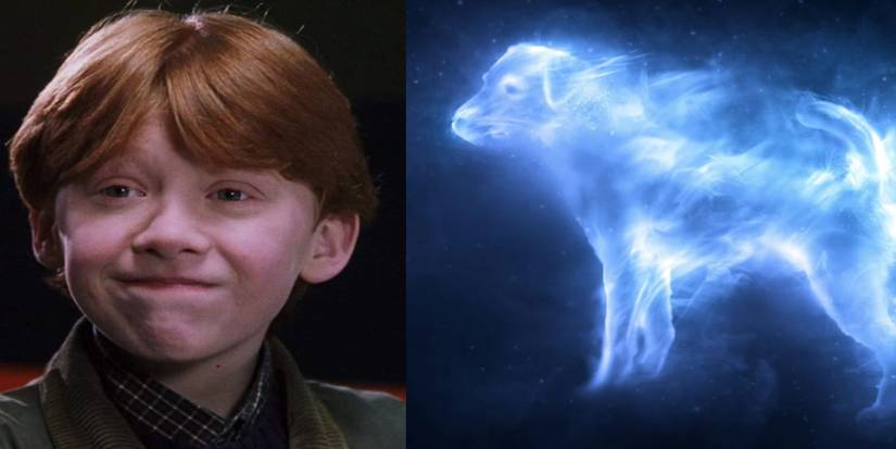 Most Powerful Spells Used By Ron In Harry Potter